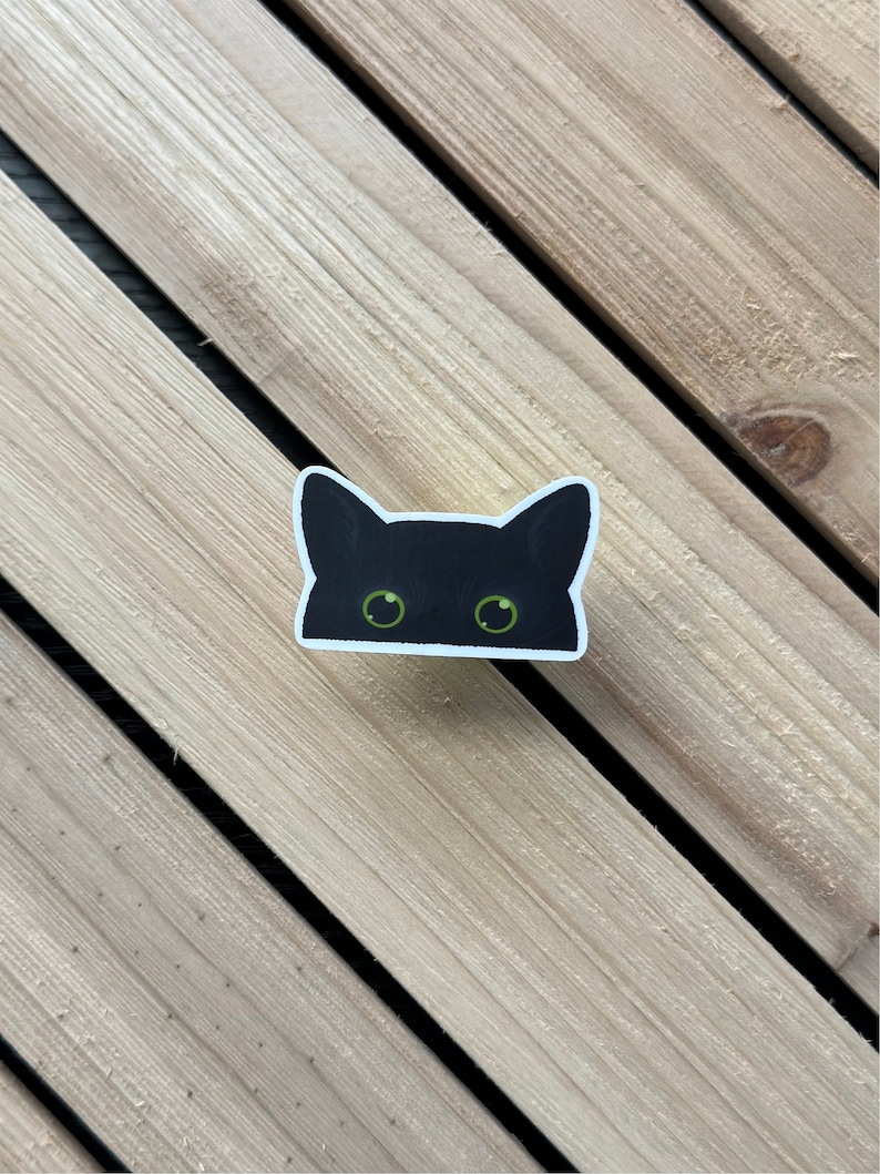Peeking Cat Sticker Cat Meme Funny Cat Sticker Water - Etsy