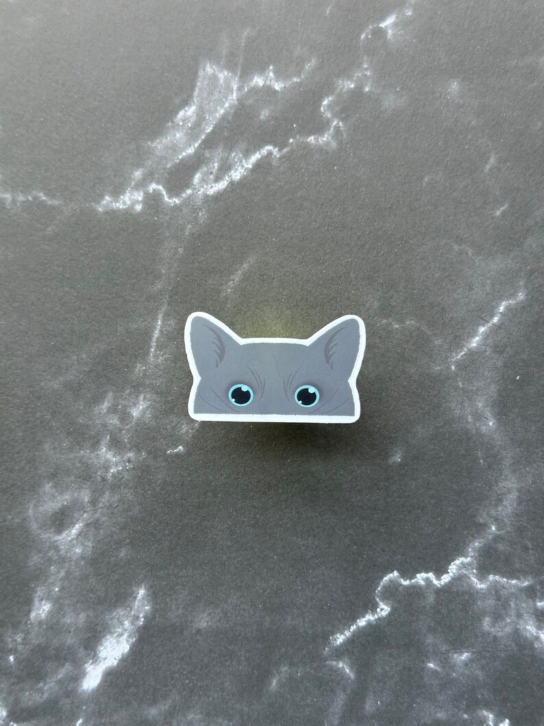 Peeking Cat Sticker Cat Meme Funny Cat Sticker Water - Etsy
