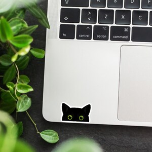 Peeking Cat Sticker Cat Meme Funny Cat Sticker Water - Etsy