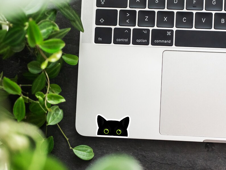 Peeking Cat Sticker Cat Meme Funny Cat Sticker Water - Etsy