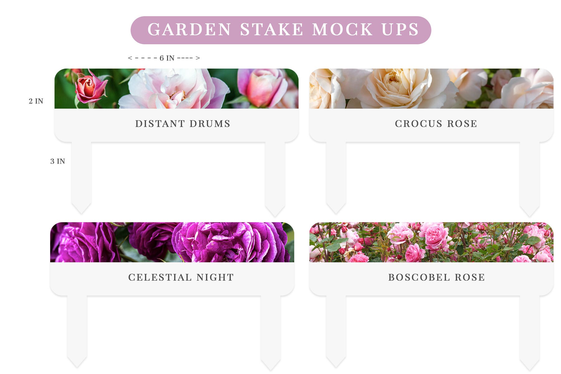 Garden Stakes With Picture Roses Plant Labels With Pictures Garden Name ...