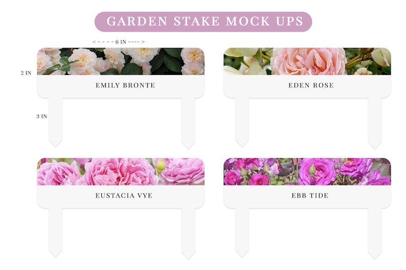Garden Stakes With Picture Roses Plant Labels With Pictures Garden Name ...