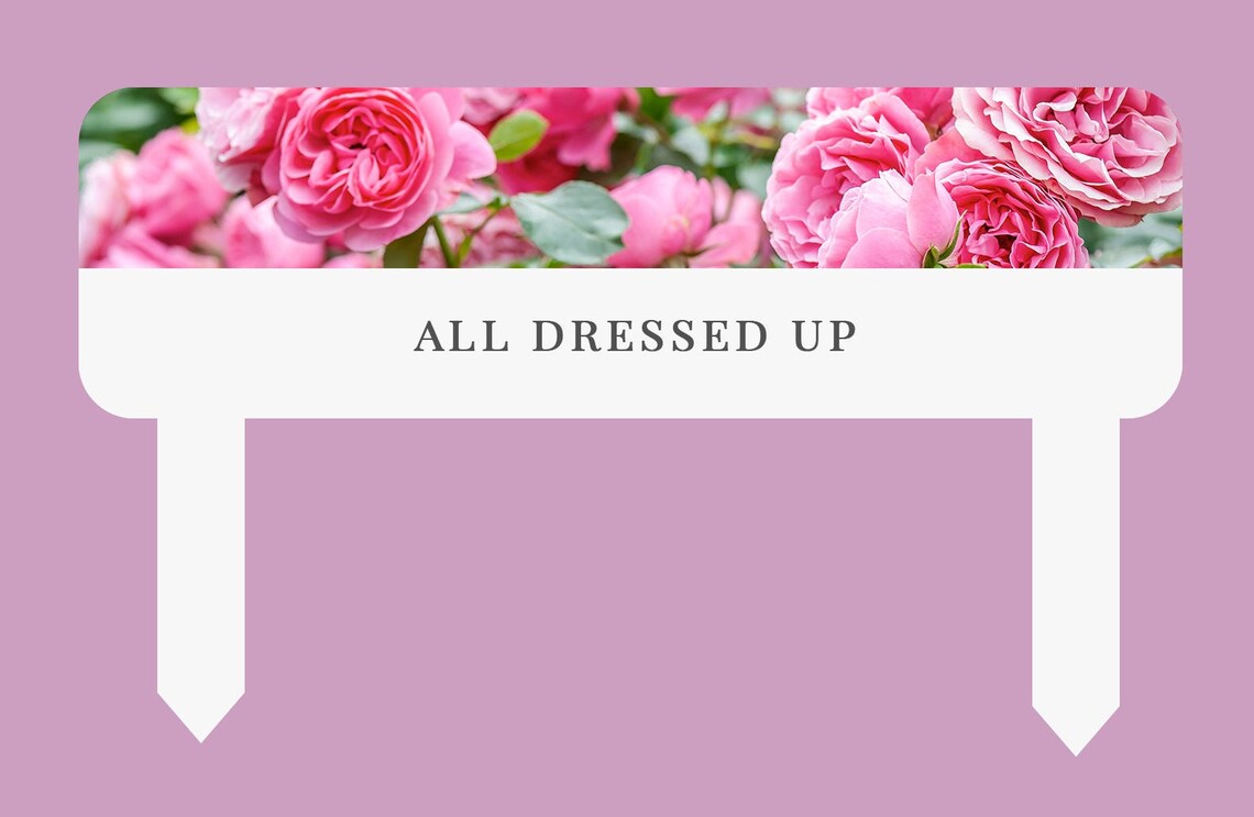 Garden Stakes With Picture Roses Plant Labels With Pictures Garden Name ...
