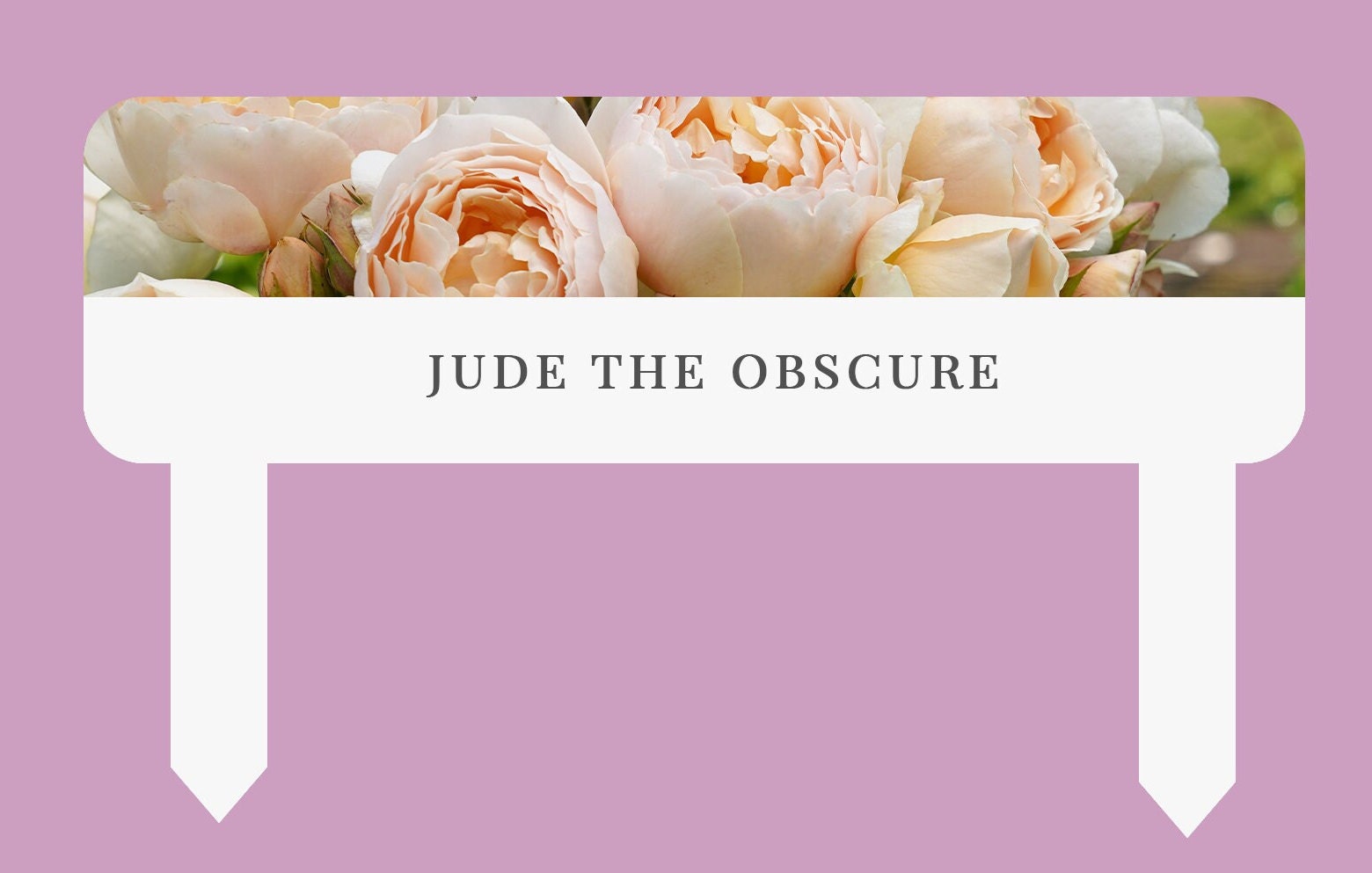 Garden Stakes With Picture Roses Plant Labels With Pictures Garden Name ...