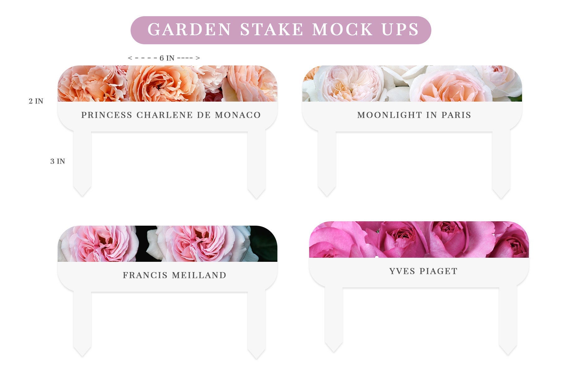 Garden Stakes With Picture Roses Plant Labels With Pictures Garden Name ...