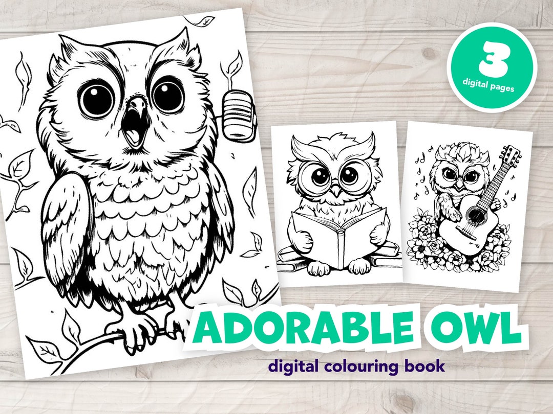 Delightful Owl Trio | Digital Coloring Pages (set of 3) | Instant ...