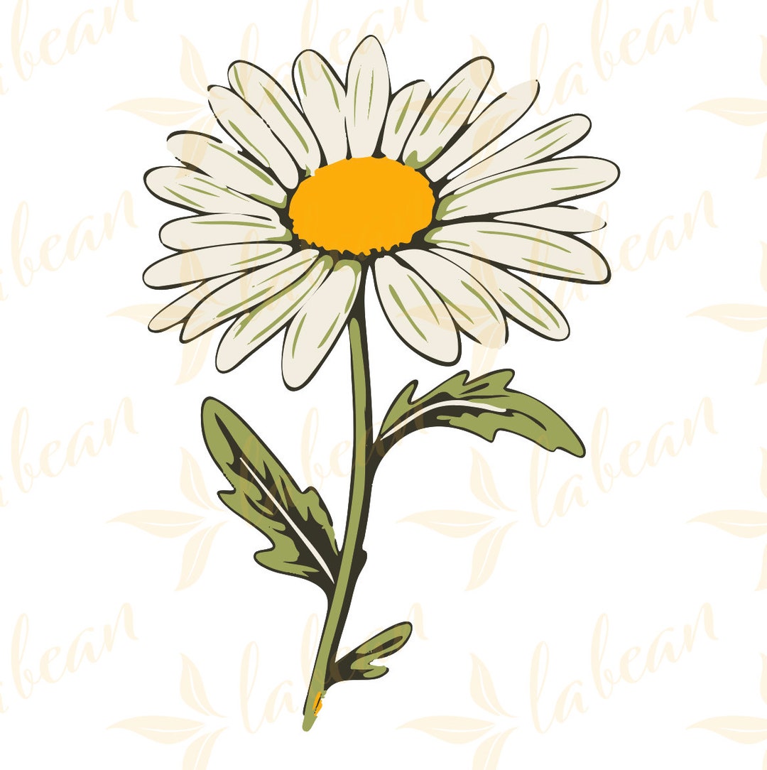 Simple Daisy SVG and PNG Set - 2000x2000px - Etsy