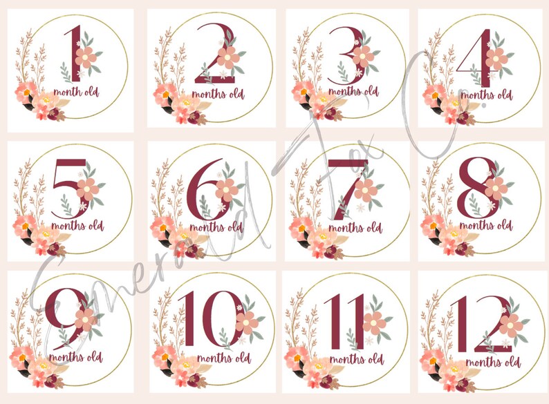 Printable Baby Milestone Cards - Pink Floral - Etsy