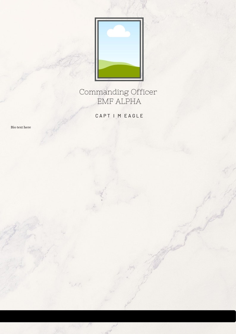 Ensign to MSC Program Template - Etsy