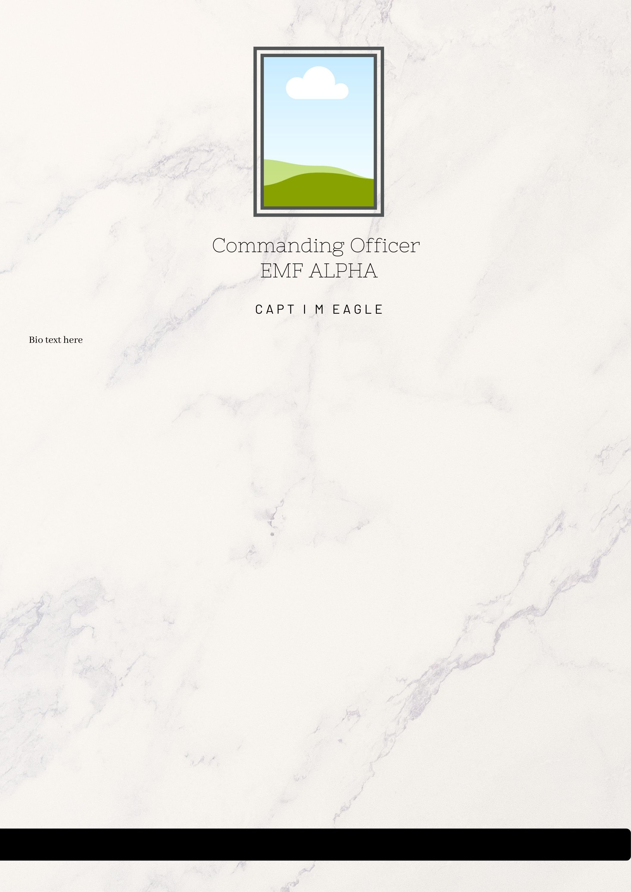 Ensign to MSC Program Template - Etsy