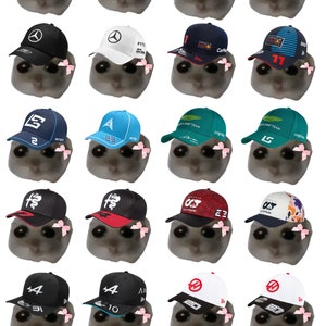 Formula 1 Sad Hamster Tiktok Meme Formula One Sticker Cute Funny Gift ...