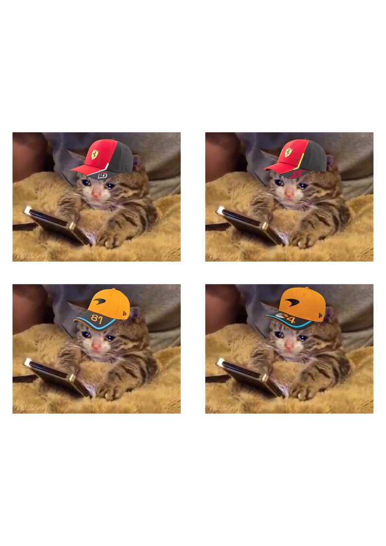 Formula 1 Sad Cat Meme Formula One Sticker Cute Funny Gift Trend for F1 ...