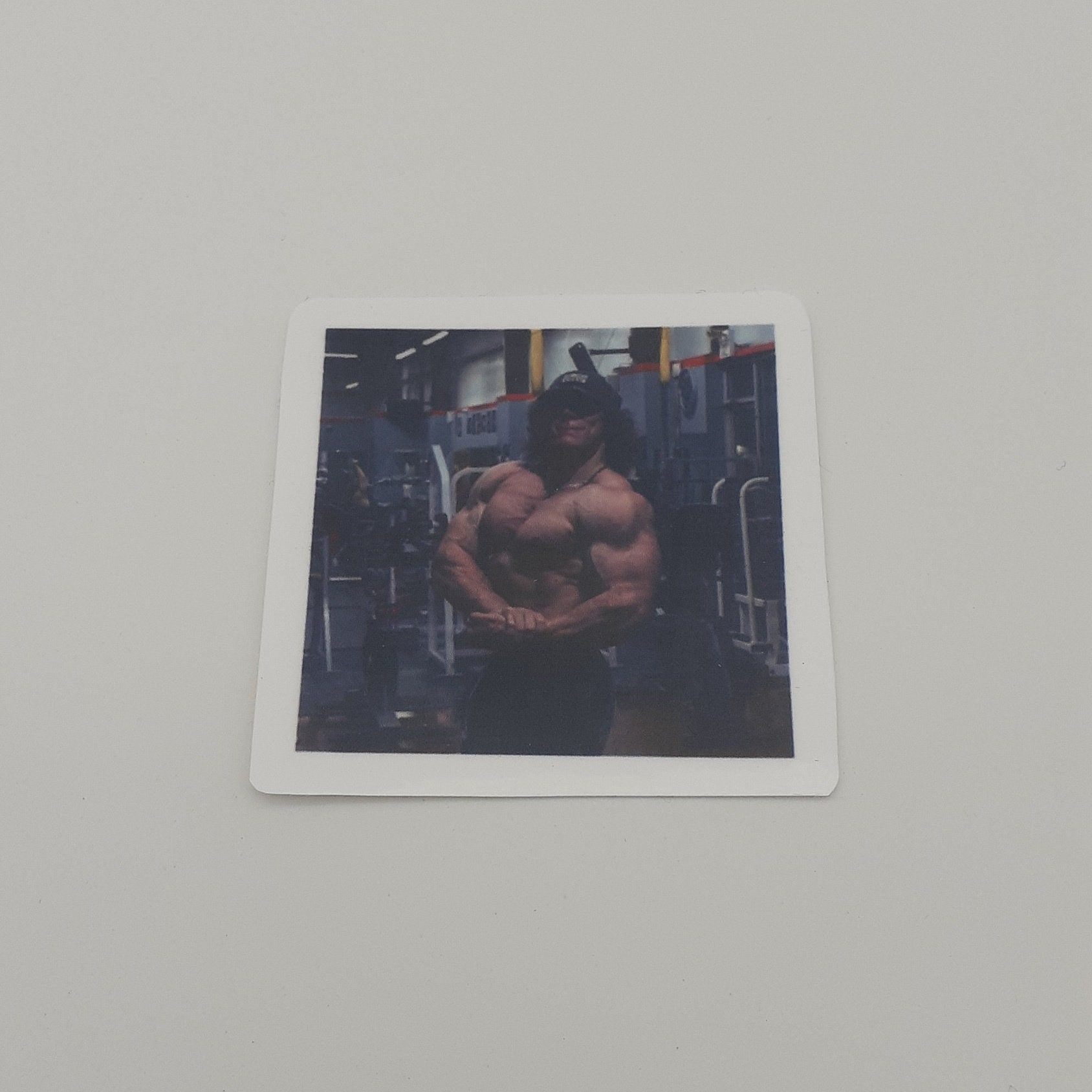 Sam Sulek Vinyl Premium Sticker Matte Gym Real Bodybuilding - Etsy