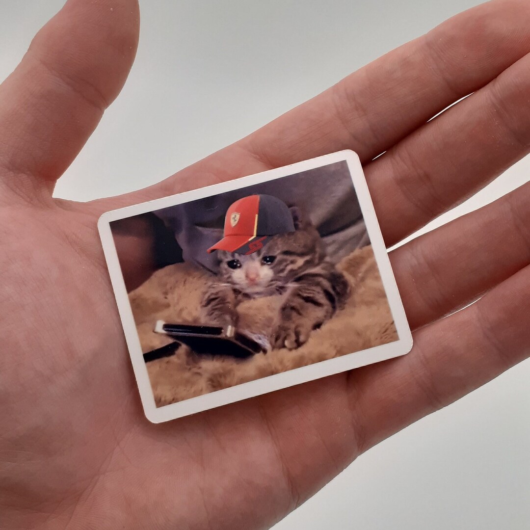 Formula 1 Sad Cat Meme Formula One Sticker Cute Funny Gift Trend for F1 ...