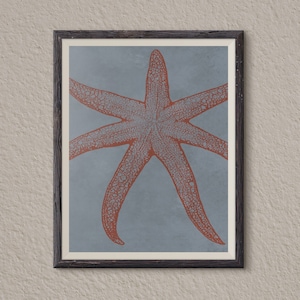 Starfish Illustration, Sea Creature, Ocean Life, Beach Cottage Coastal ...