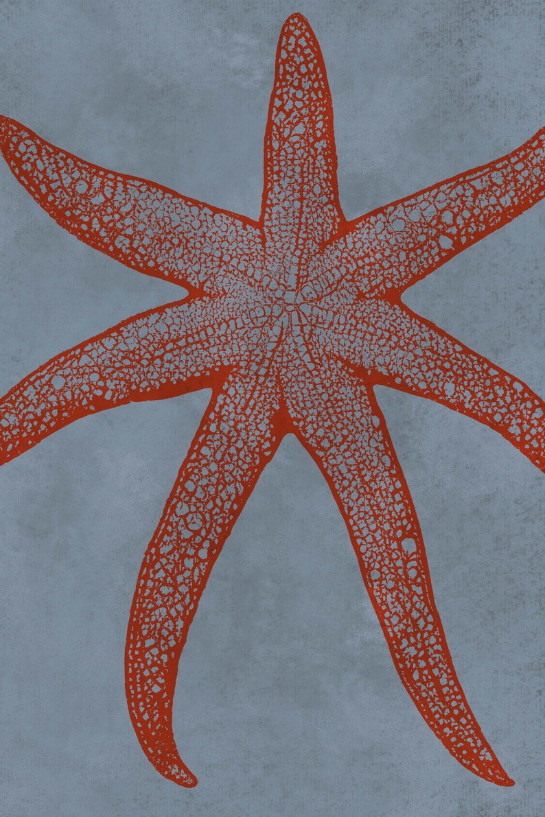 Starfish Illustration, Sea Creature, Ocean Life, Beach Cottage Coastal ...