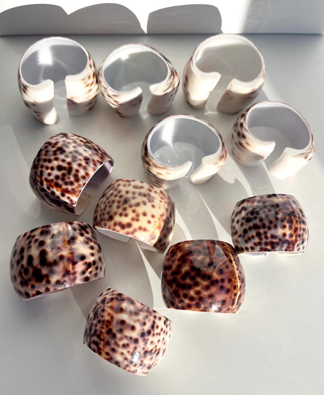 Vintage Shell Napkin Holders, Tiger Cowrie Shell, Collectible Vintage ...
