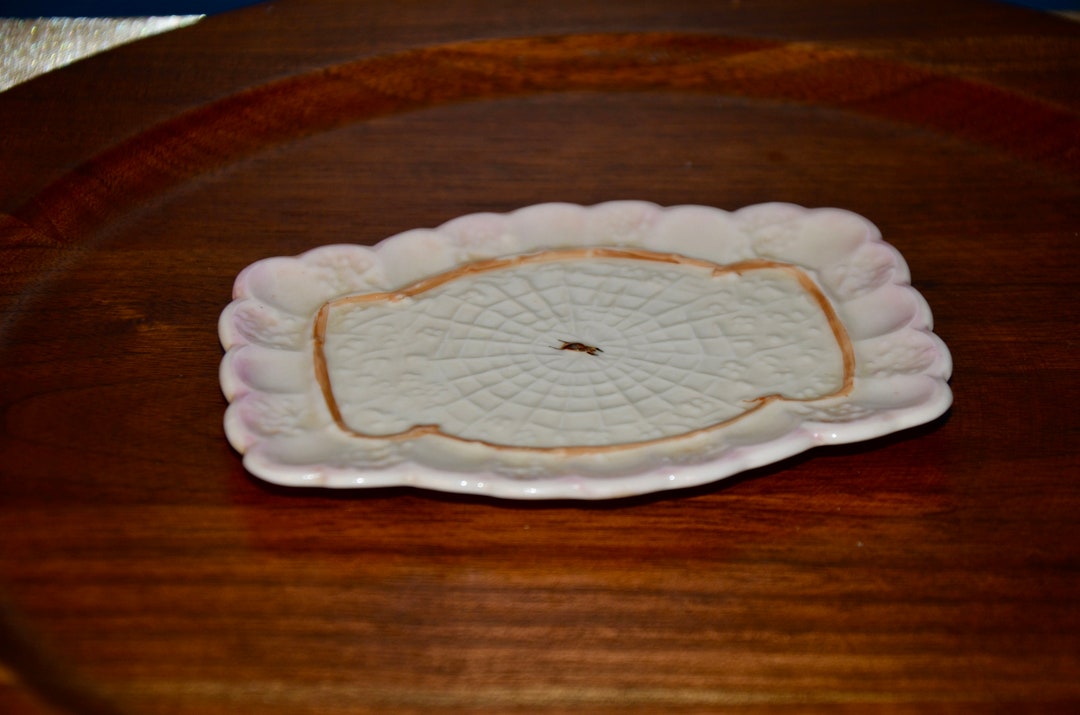 Neptune Pin Tray Pink and White With Spider on Its Web Belleek Ireland ...