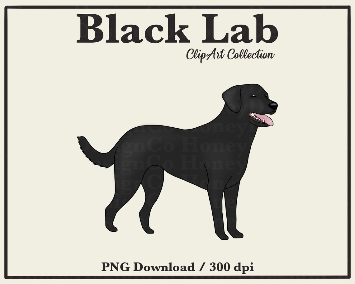 Black Lab Png Bundle, Black Lab Face Png, Black Labrador Clip Art, Dog ...