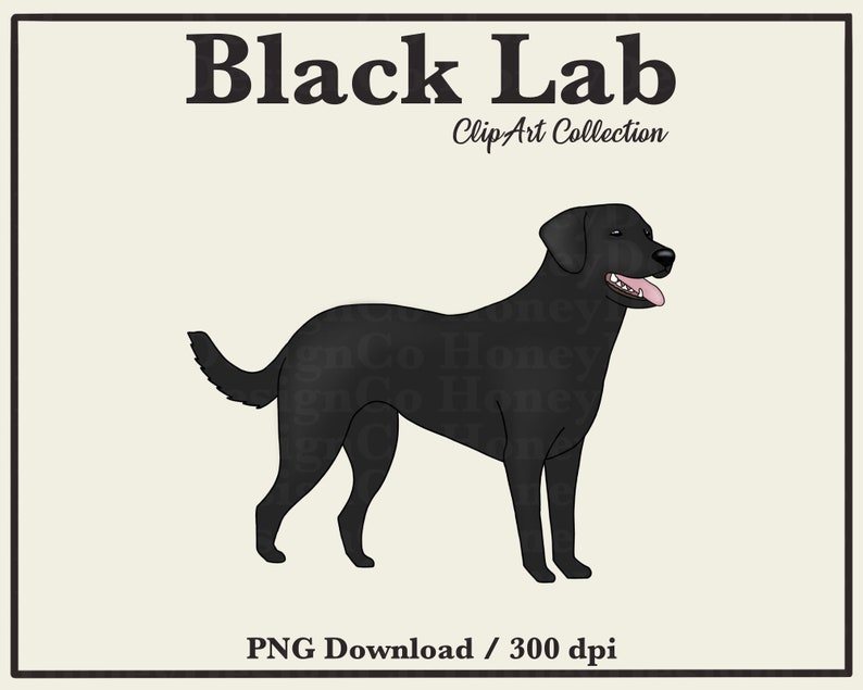Black Lab Png Bundle, Black Lab Face Png, Black Labrador Clip Art, Dog ...
