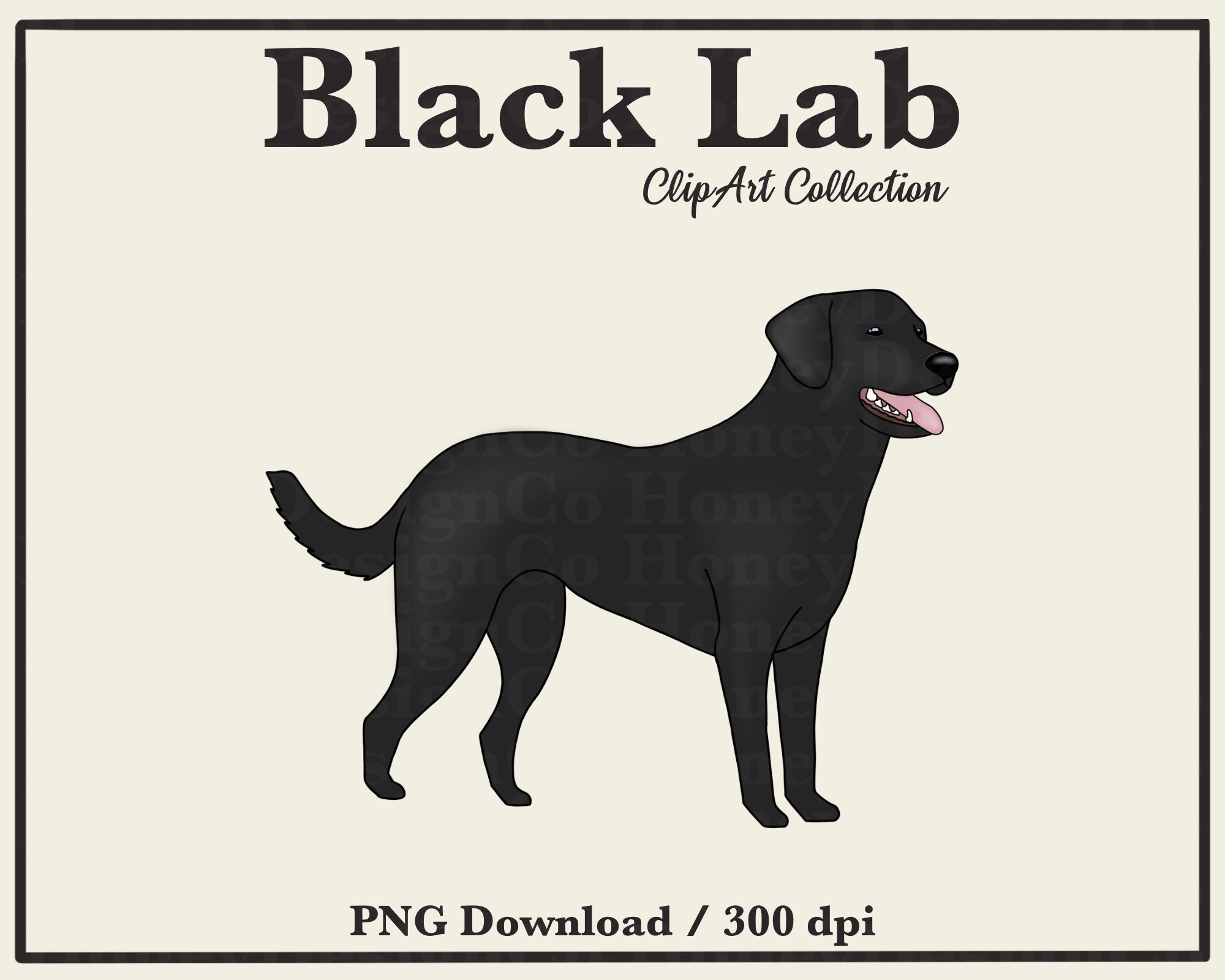 Black Lab Png Bundle, Black Lab Face Png, Black Labrador Clip Art, Dog ...