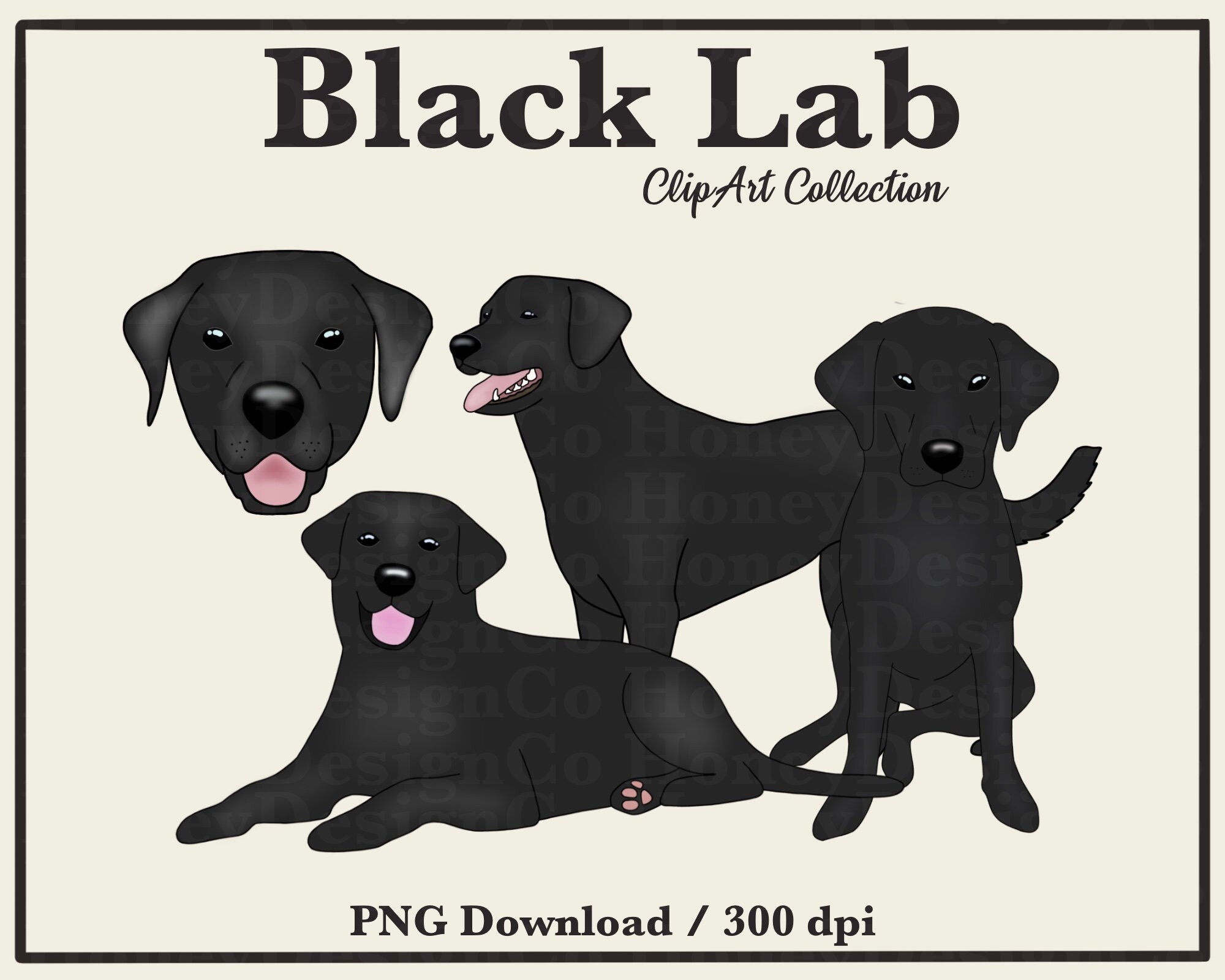 Black Lab Png Bundle, Black Lab Face Png, Black Labrador Clip Art, Dog ...