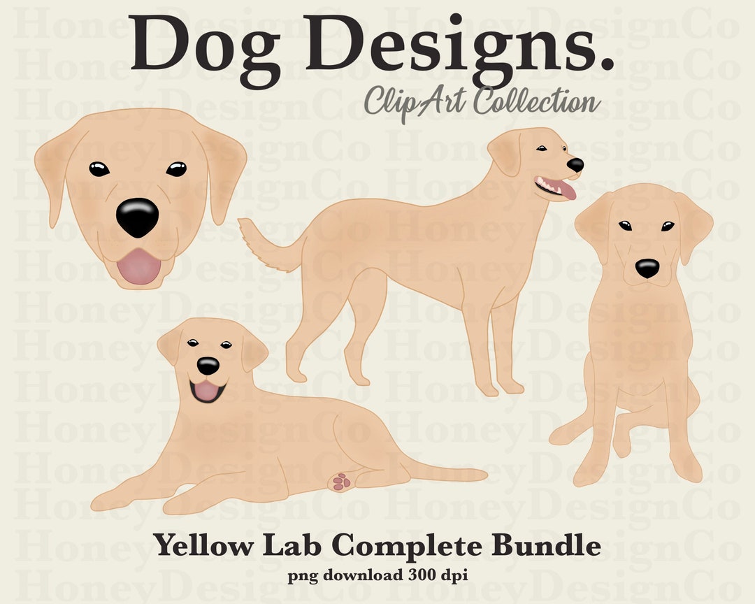 Yellow Lab Png Bundle Yellow Labrador Clipart Yellow Lab Dog - Etsy