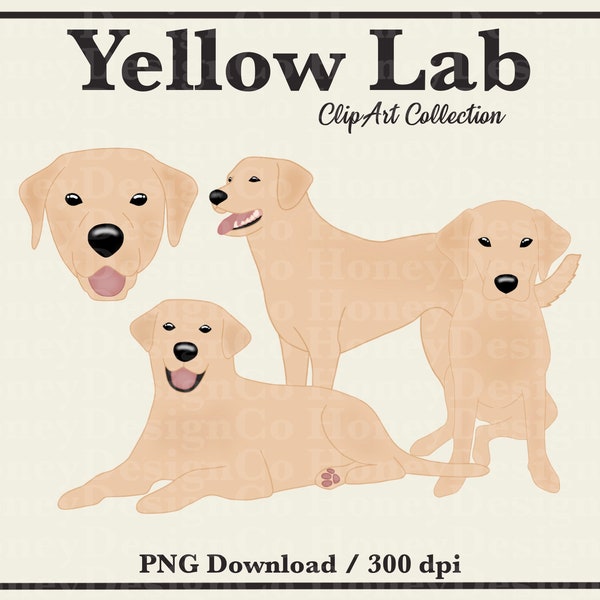Yellow Lab - Etsy