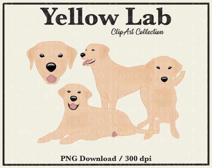 Yellow Lab Png Bundle, Yellow Labrador Clipart, Yellow Lab Dog ...