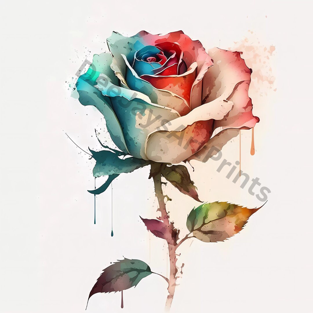 Multi Color Rose Clipart 10 High Quality Pngs Digital Download ...