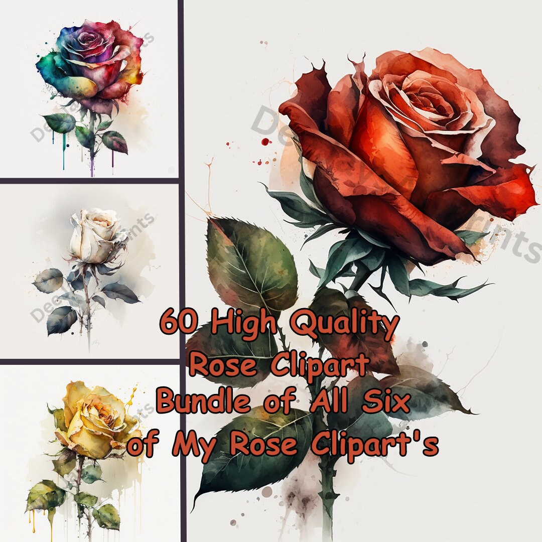 Rose Bundle Clipart 60 High Quality Pngs Digital Download Watercolor ...