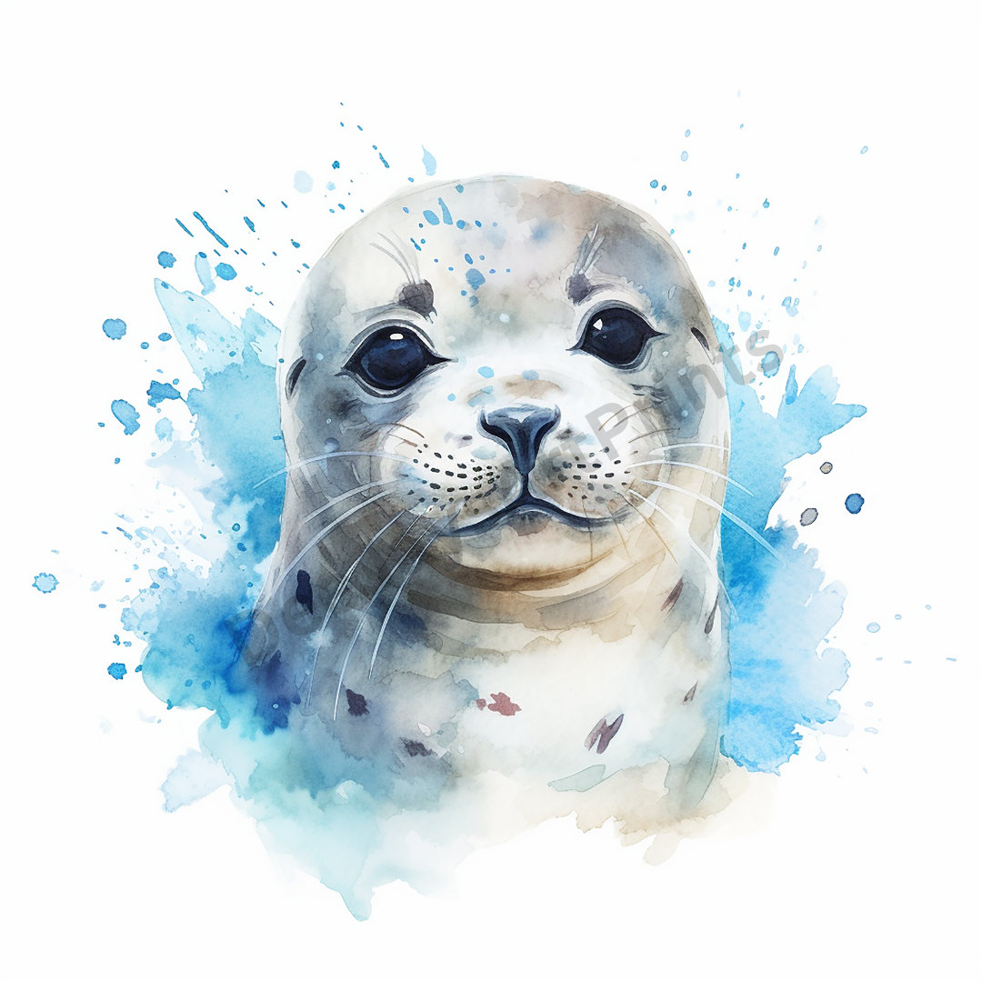 Niedliche Robbe Clipart 20 hochwertige PNGs digitaler Download Aquarell ...