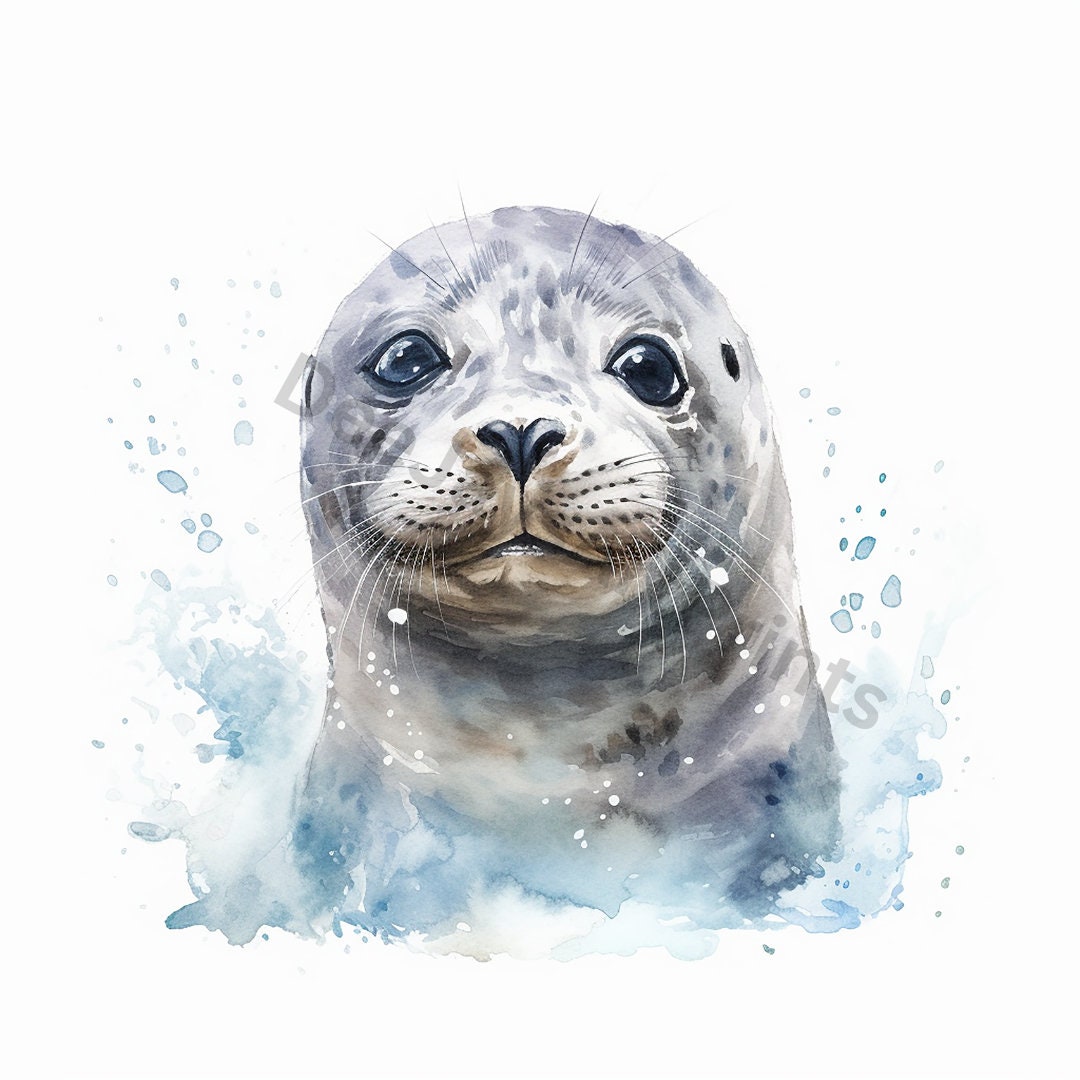 Niedliche Robbe Clipart 20 hochwertige PNGs digitaler Download Aquarell ...