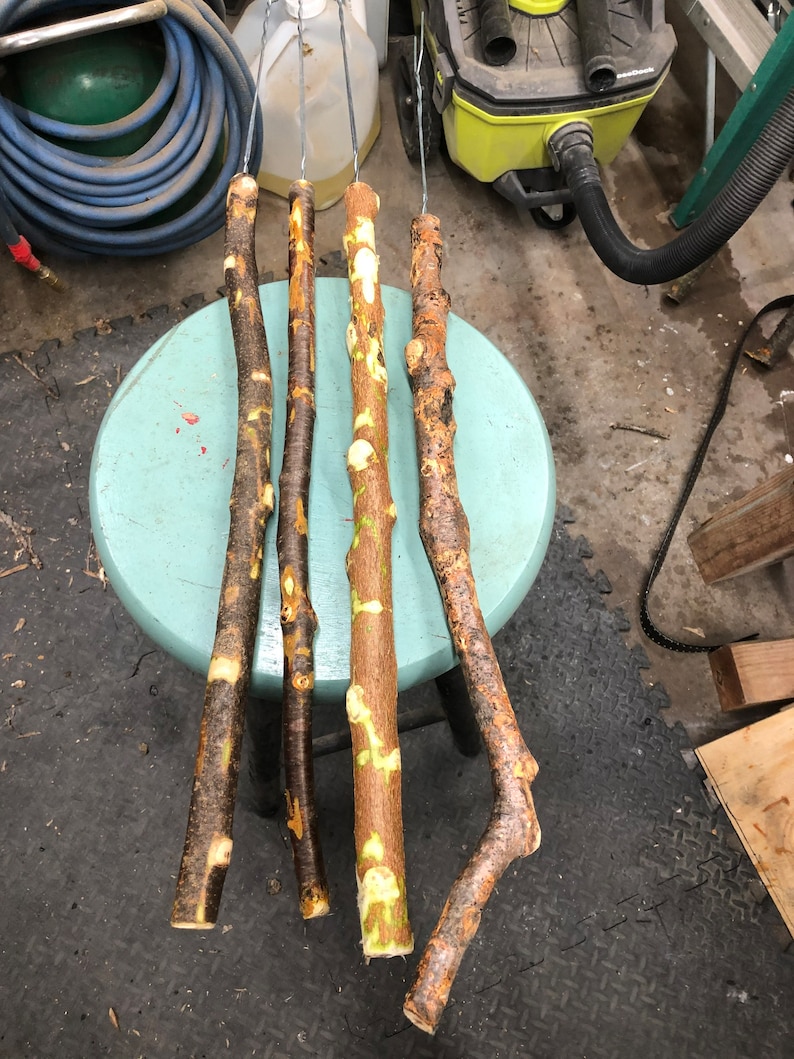 Camp Roasting Sticks Marshmallow Sticks - Etsy