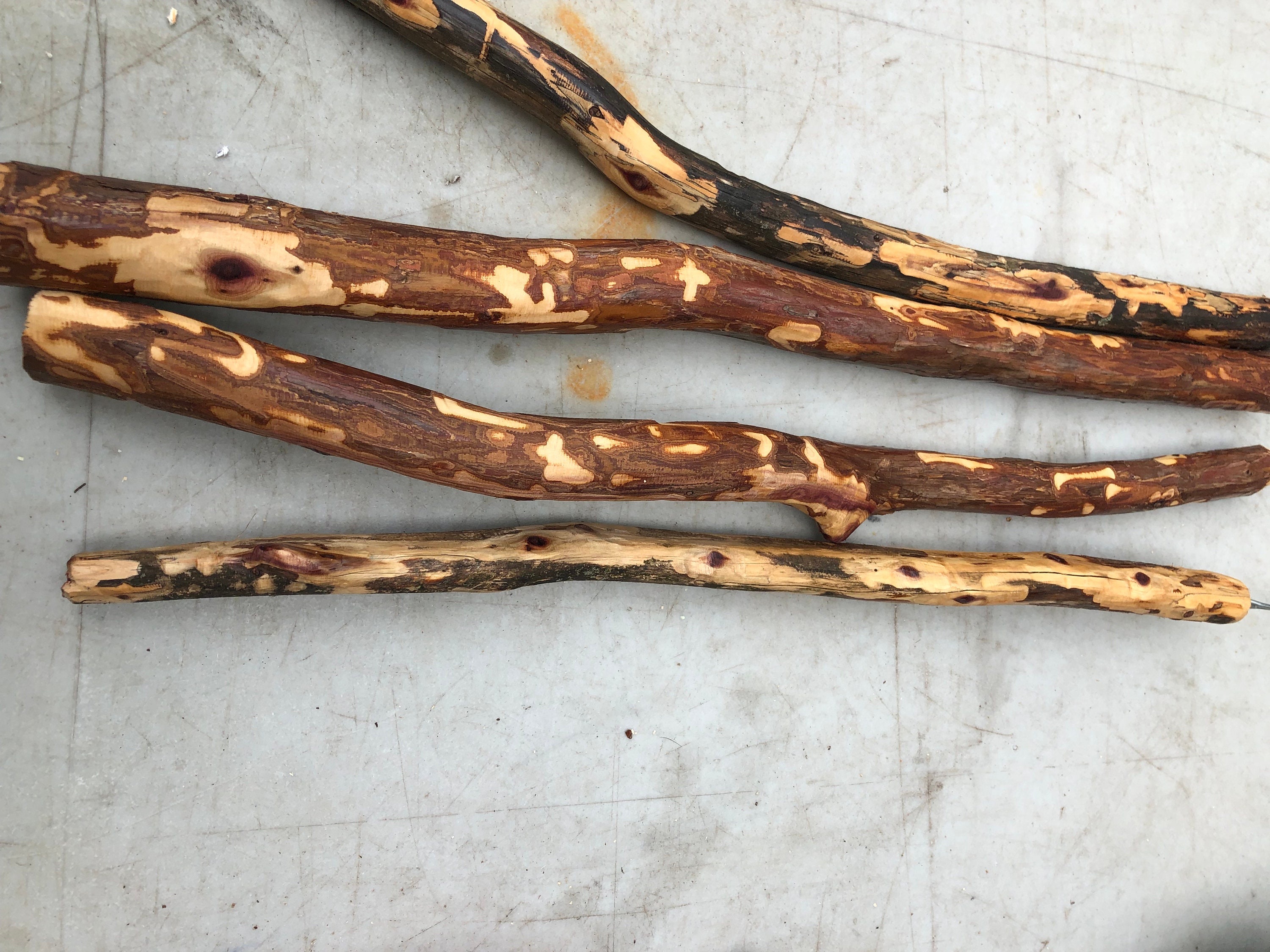 Roasting Cedar Sticks Very Colorful Made With Cedar Branches - Etsy