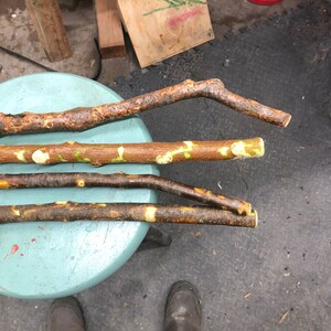 Camp Roasting Sticks Marshmallow Sticks - Etsy