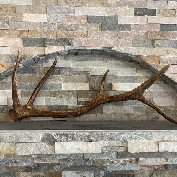 Antler Decor - Etsy