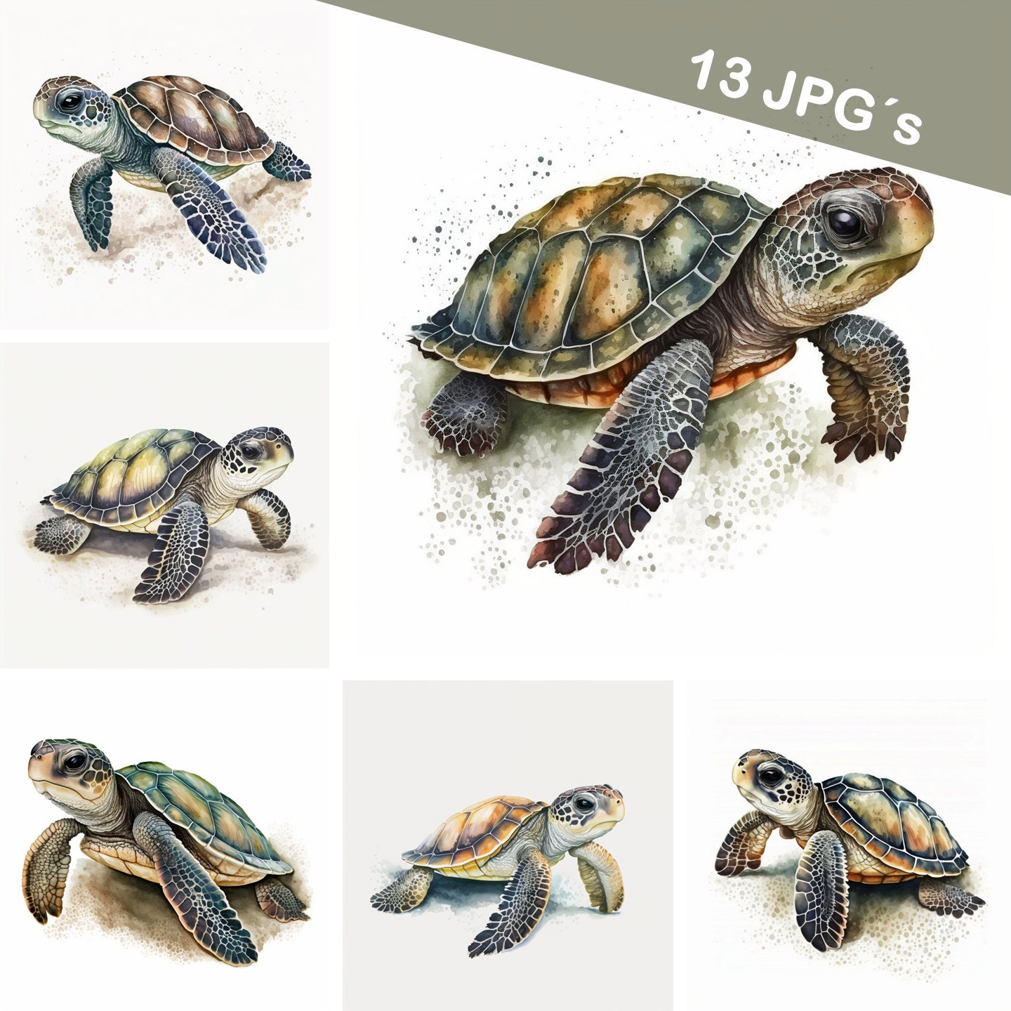 Cute Watercolor Turtle Printable Bundle Baby Turtle Digital - Etsy
