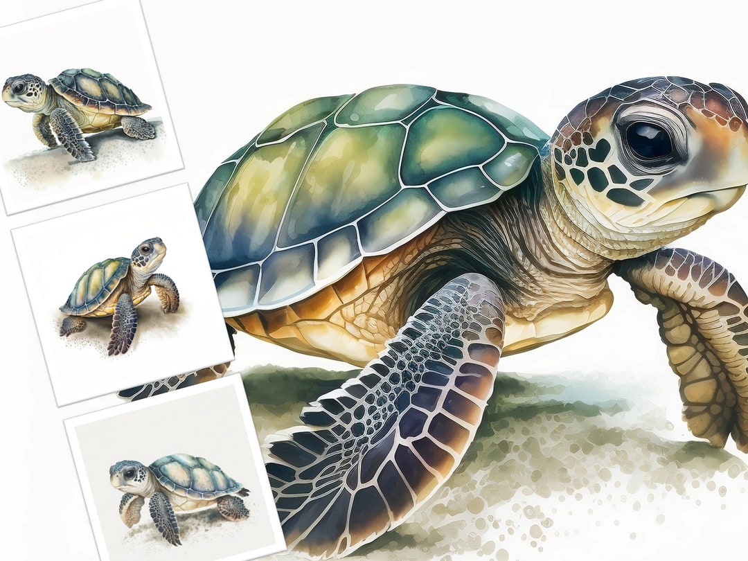 Cute Watercolor Turtle Printable Bundle Baby Turtle Digital - Etsy