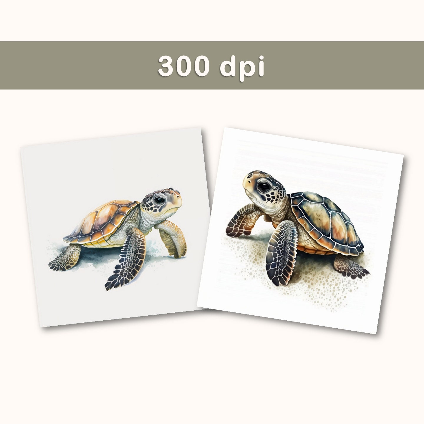 Cute Watercolor Turtle Printable Bundle Baby Turtle Digital - Etsy