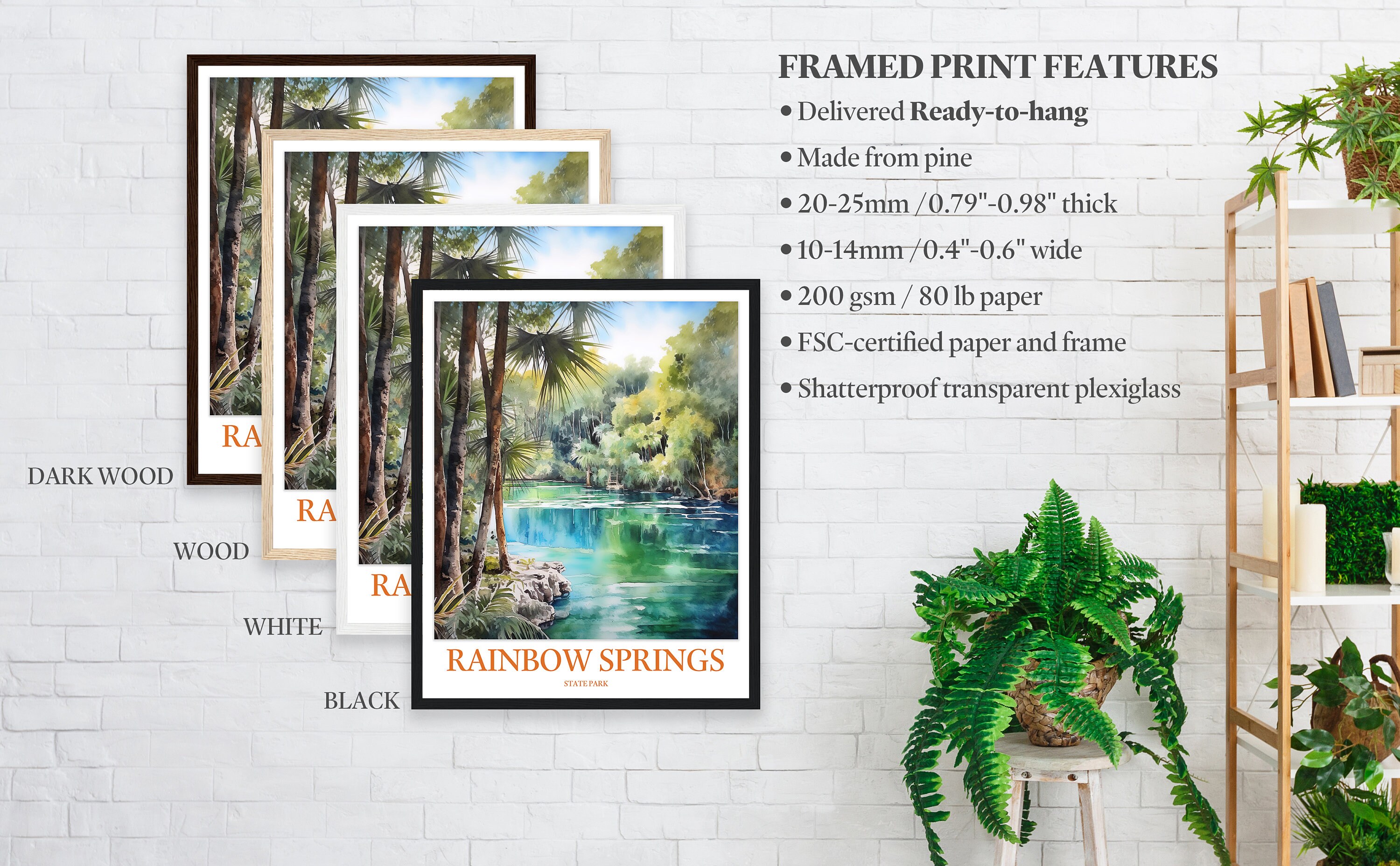 Rainbow Springs State Park Print Art Rainbow Springs Print - Etsy