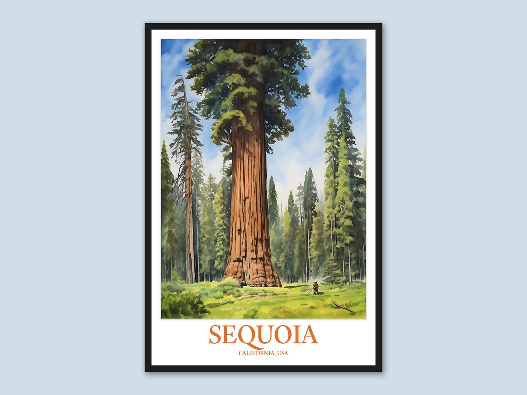 Sequoia National Park Wall Art Sequoia Poster Sequoia National Park ...