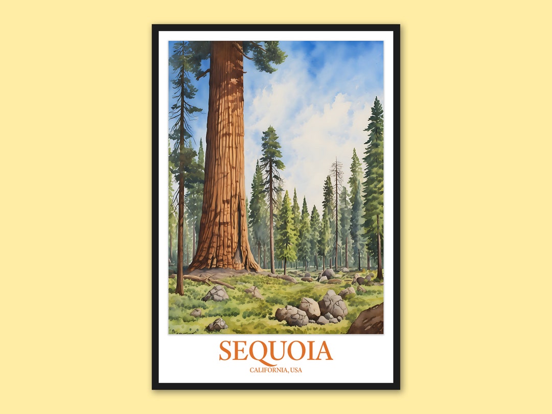 Sequoia National Park Art Print: Travel Poster Wall Decor - Etsy