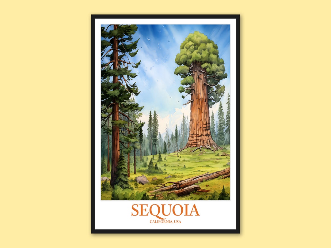 Sequoia National Park Poster Sequoia Wall Art Sequoia National Park ...