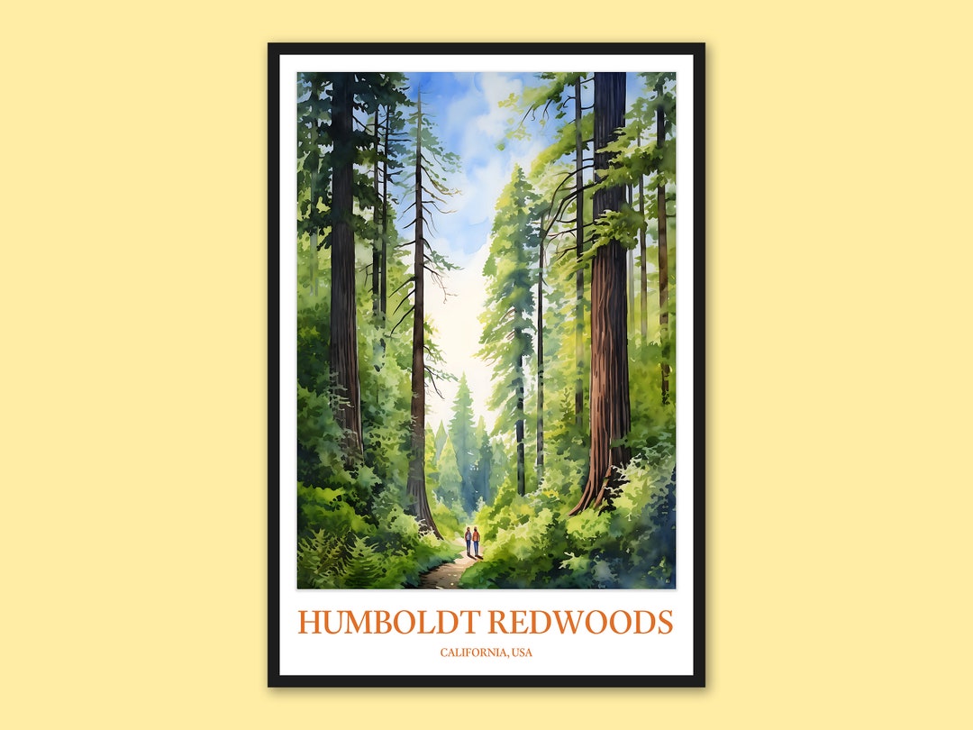 Humboldt Redwoods State Park Travel Poster: California Wall Art - Etsy