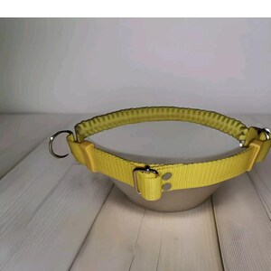 Custom Made to Order. Light Yellow . Any Size Made Please Ask. Bitless ...