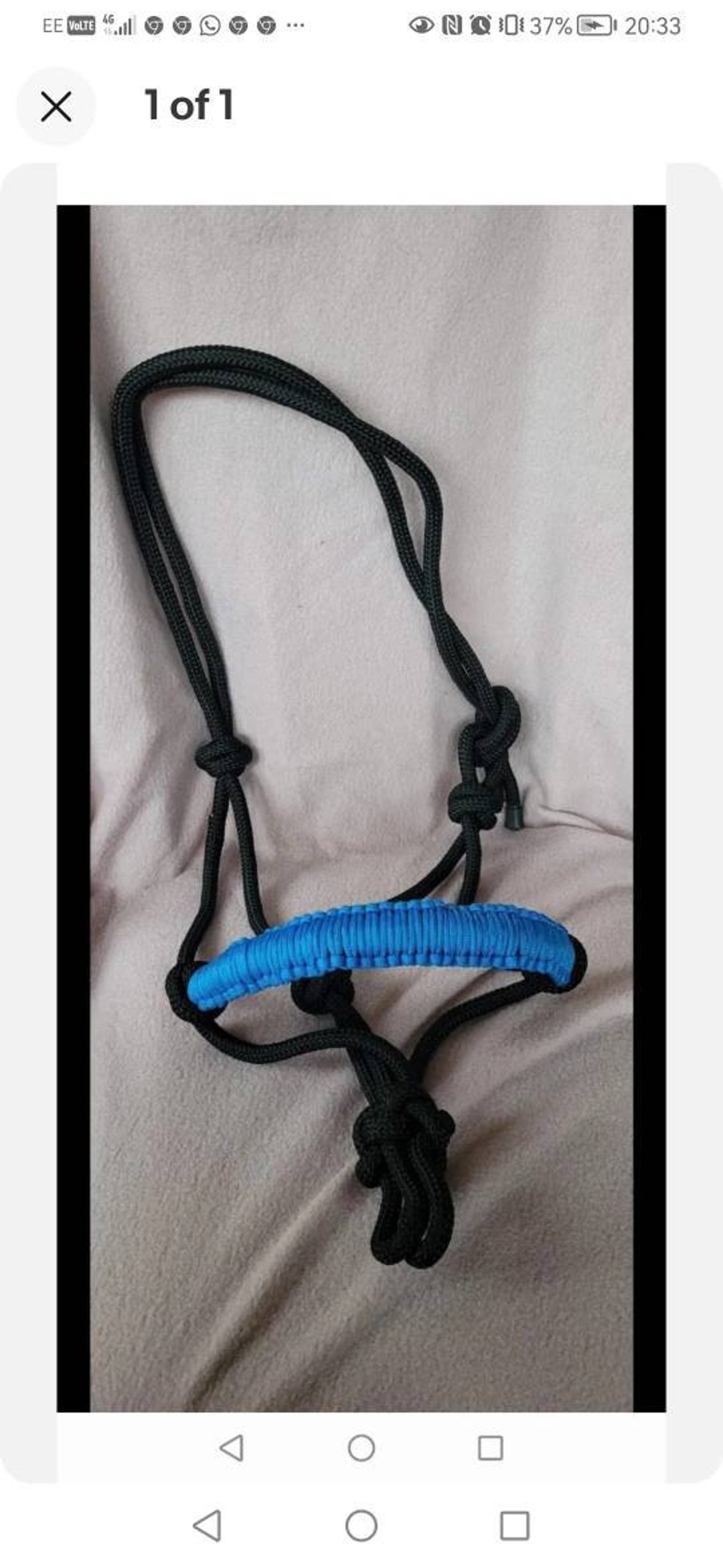 Rope Halter Bridle Bright Blue Full Size or Cob - Etsy