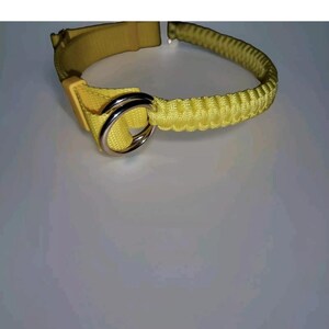 Custom Made to Order. Light Yellow . Any Size Made Please Ask. Bitless ...