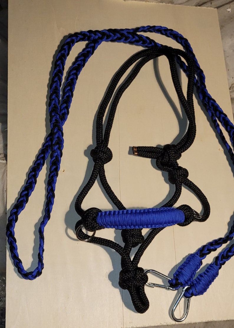 Bitless Rope Bridle. Different Colours and Sizes Available - Etsy