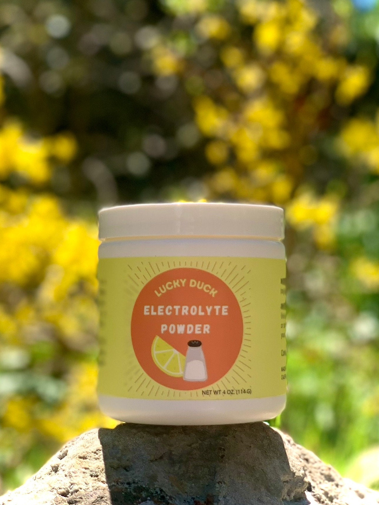 Electrolyte Powder - 4 Oz Jar- Made From 100% Organic, Whole Food ...